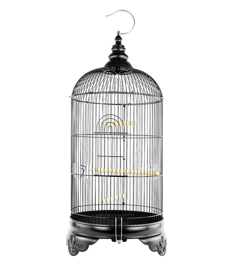 Aviary Bird Cage 6 – 34x34x87cm – Black | Zugo | Tall & Spacious Black ...