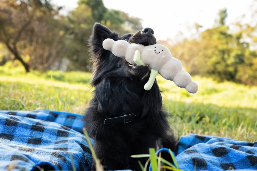 Zugo Croissant Dog Plush Toy | Zugo | Crinkly Parisian-Inspired Soft ...