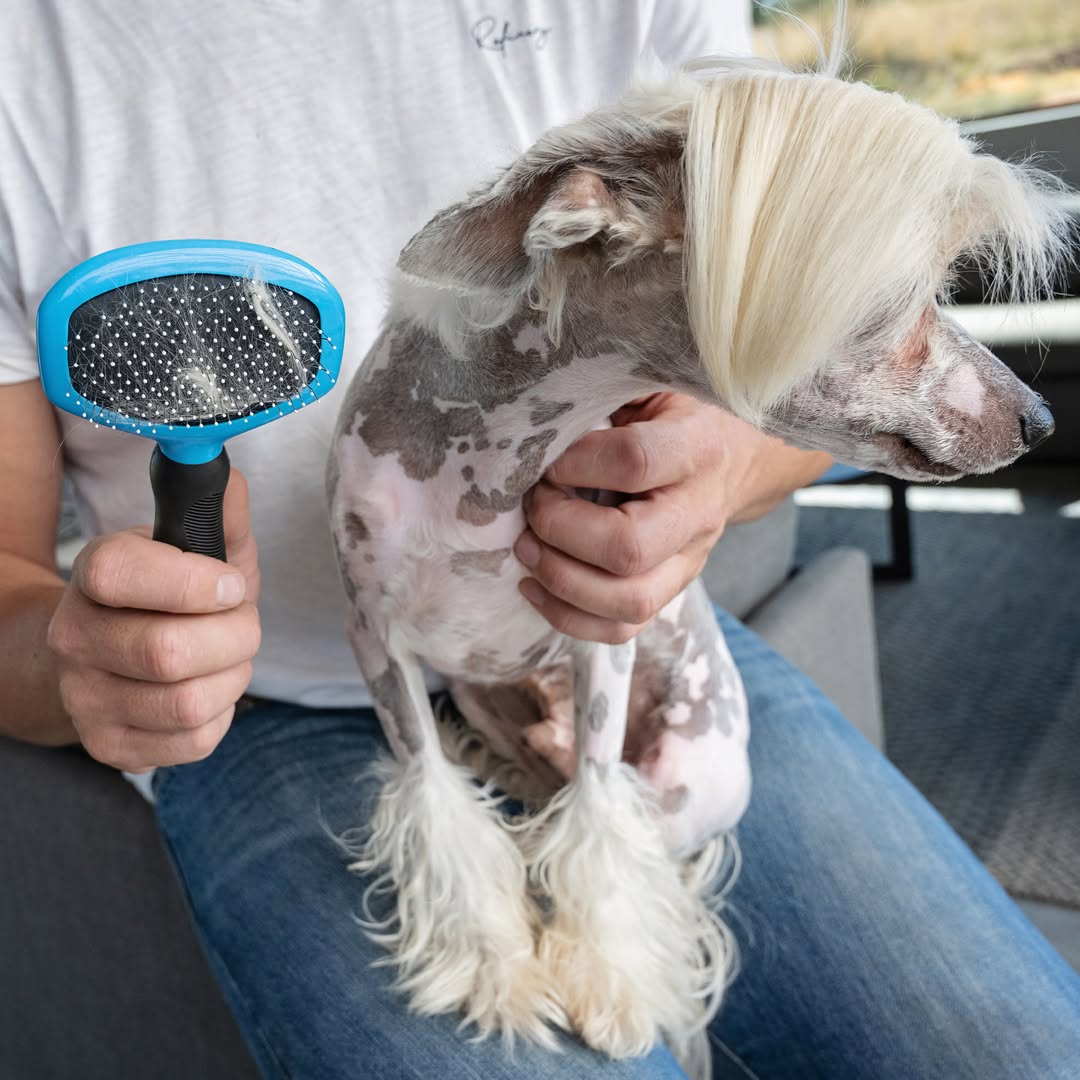 Slick Dog Brush – Small | Fine Bristle Grooming Tool for Small Dogs ...