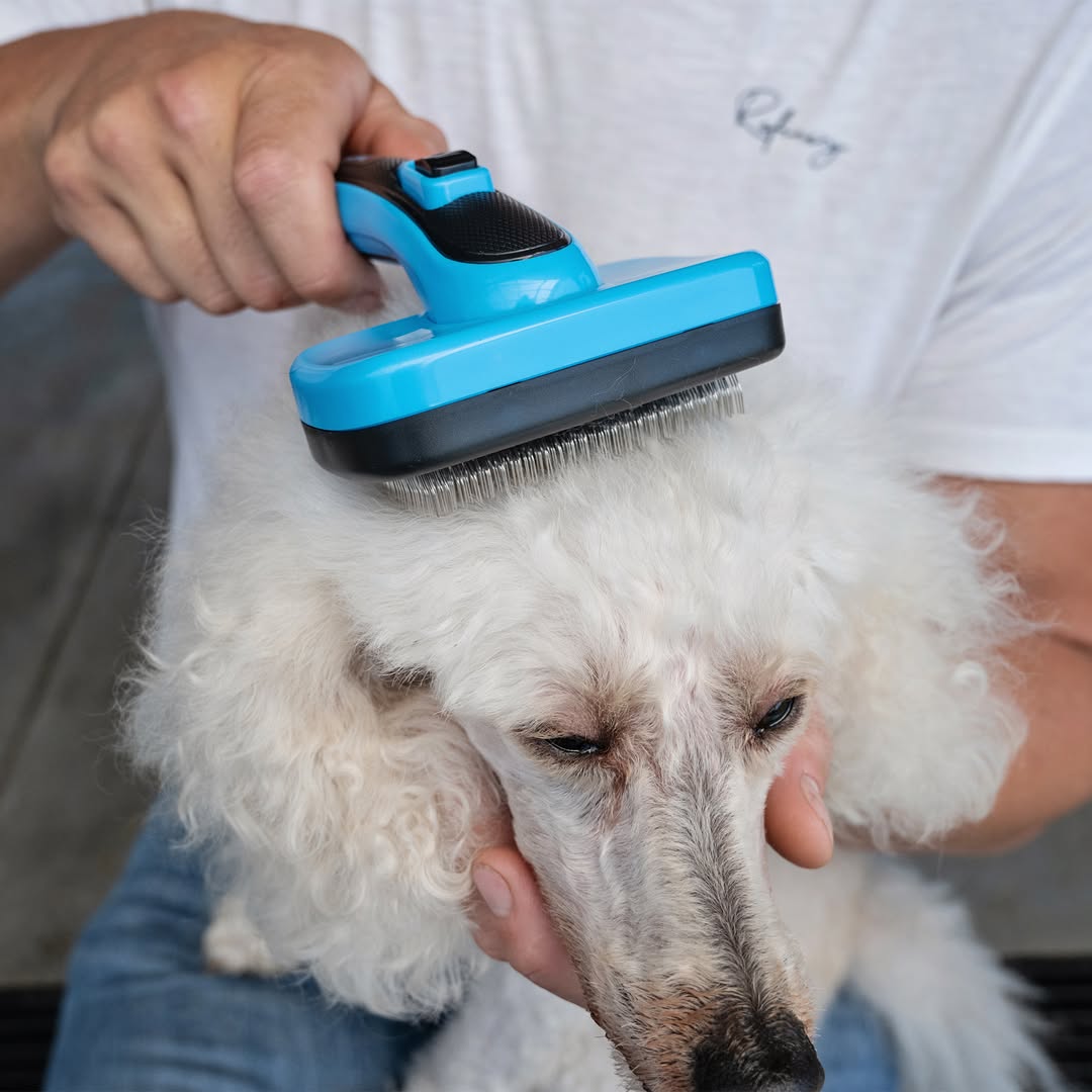 Slick Dog Brush Self Cleaning – Large | Easy Clean Grooming Tool for ...